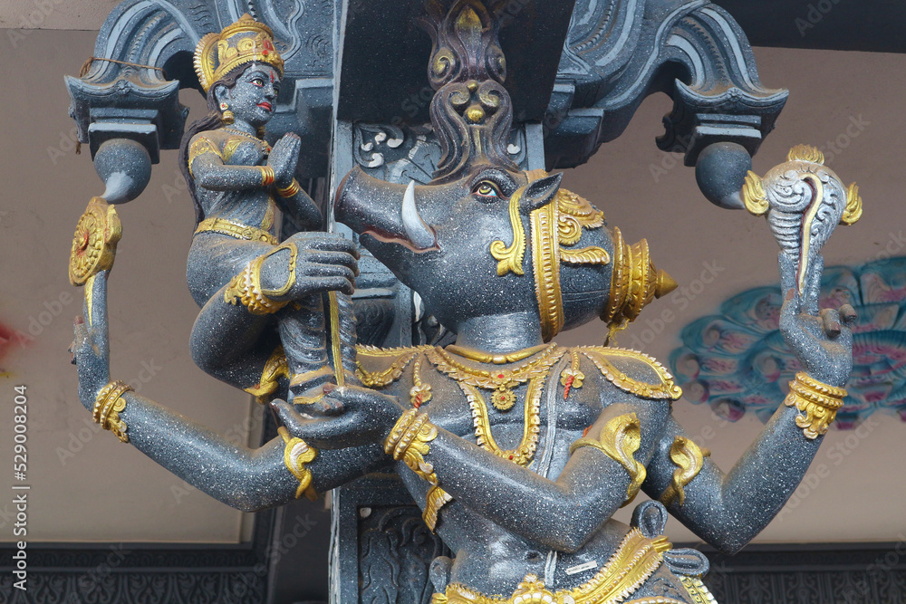 Varaha is an Indian god, an Avatar of Lord Vishnu. Sculpture in a Hindu ...