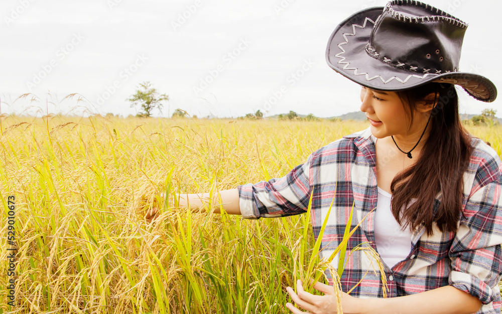 Happy like asian beautiful woman farmer looks at the golden stalks of ...