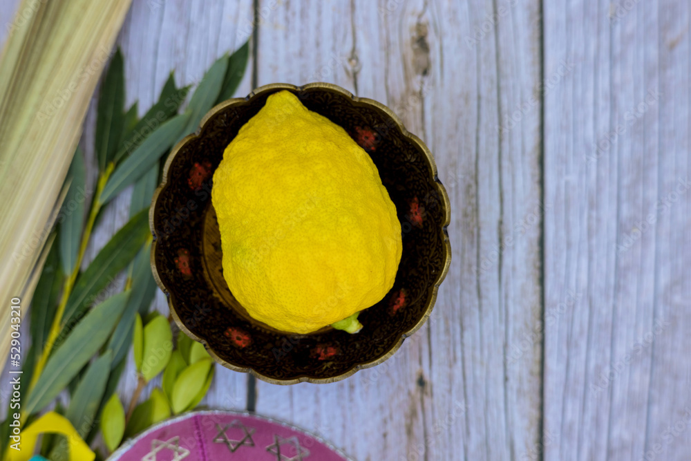 Religious feast of tabernacles with etrog ritual citrus fruit it symbol ...