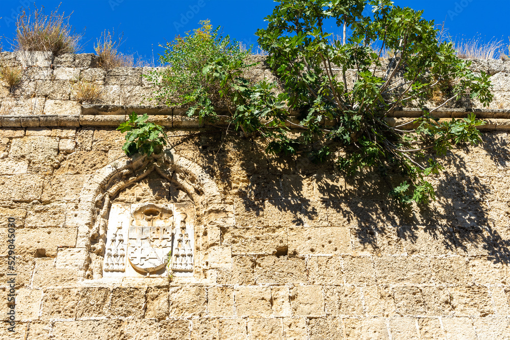 Coat of arms of the Order of Knights of the Hospital or Hospitallers on ...
