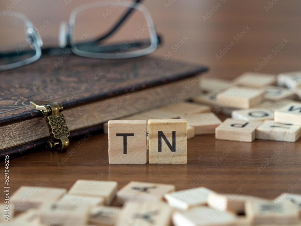 the acronym tn for True Negative concept represented by wooden letter ...