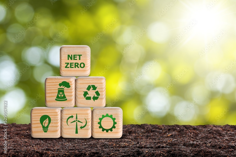 Net Zero and Carbon Neutral Concepts Emissions Goals Weather neutral ...