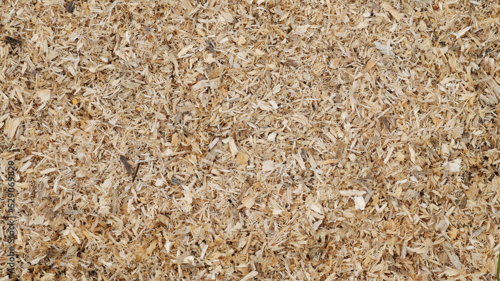 The texture of sawdust left after sawing wood. Stock Photo | Adobe Stock
