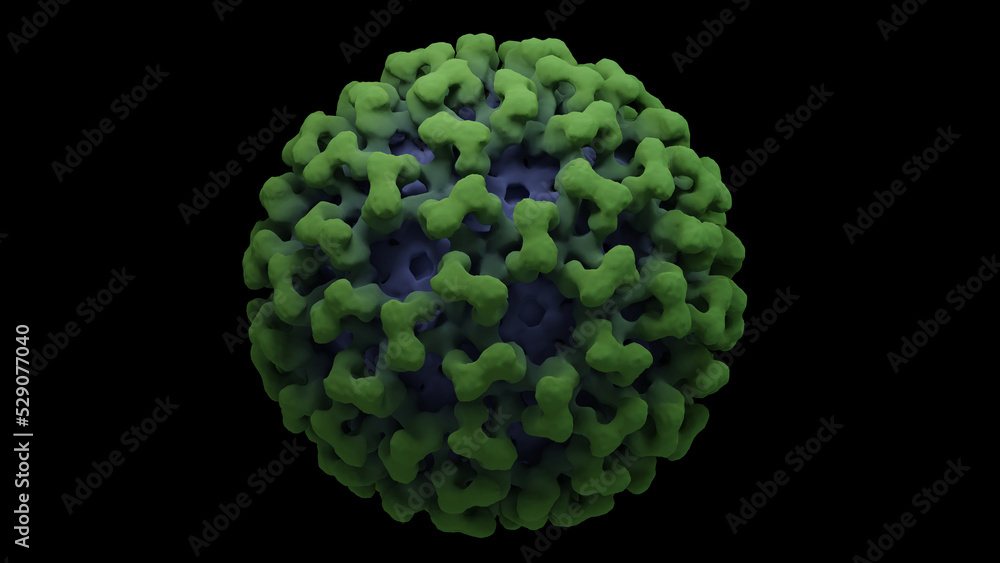 Chikungunya virus, medical accurate 3d rendering science illustration ...