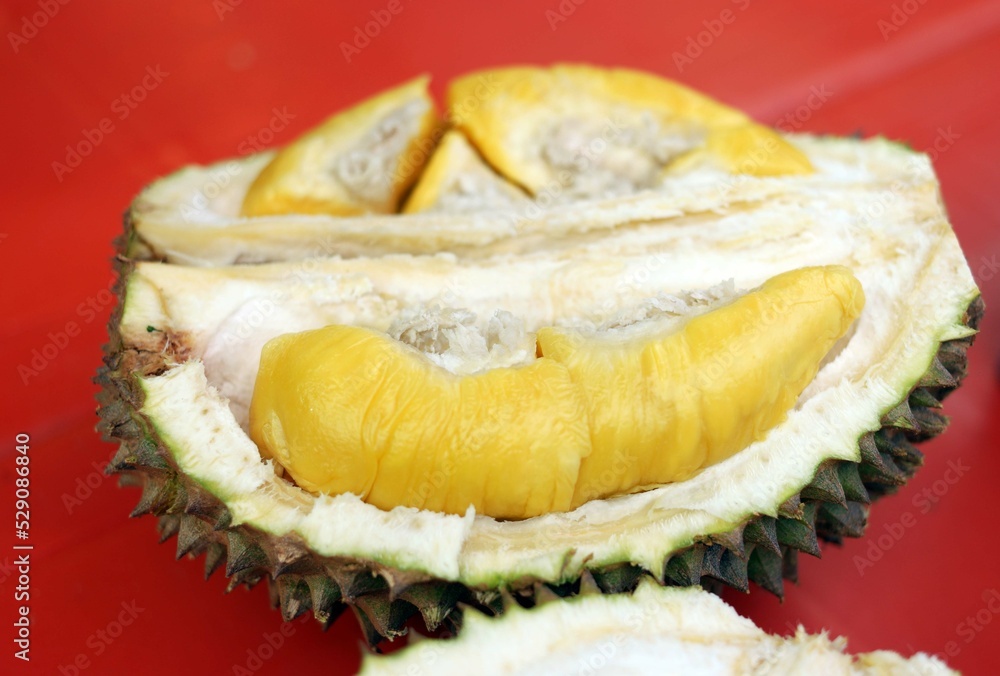 Musang king durian of Malaysia Stock Photo | Adobe Stock