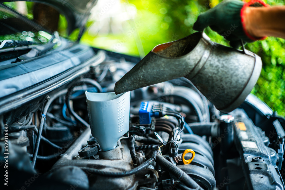 Inspection of the engine and checking the motor oil level, The car is ...