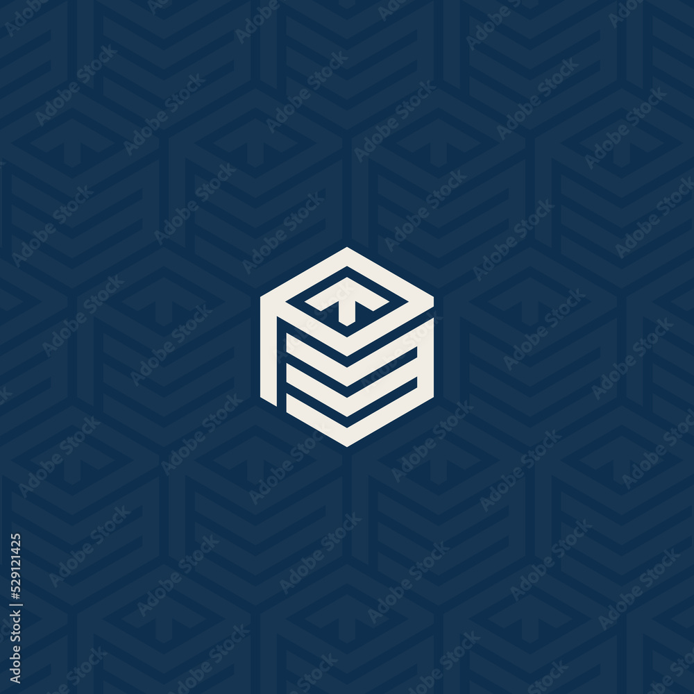 PMT, TPM or PM logo and up arrow symbol with background pattern design ...