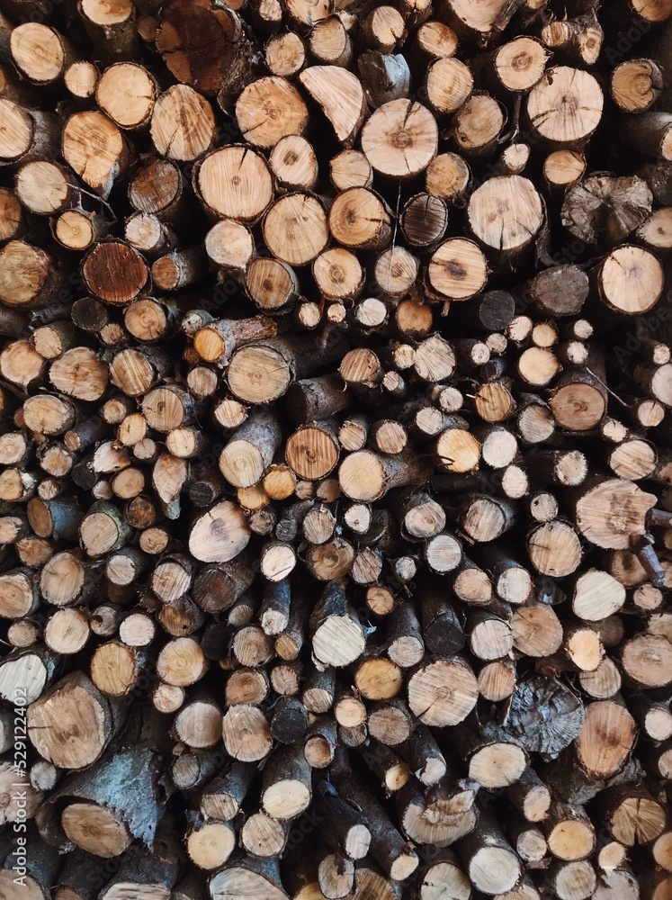 Textura de leña Stock Photo | Adobe Stock