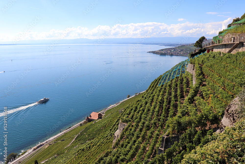 Chexbres - Lavaux vineyards on terraces, UNESCO World Heritage Site ...