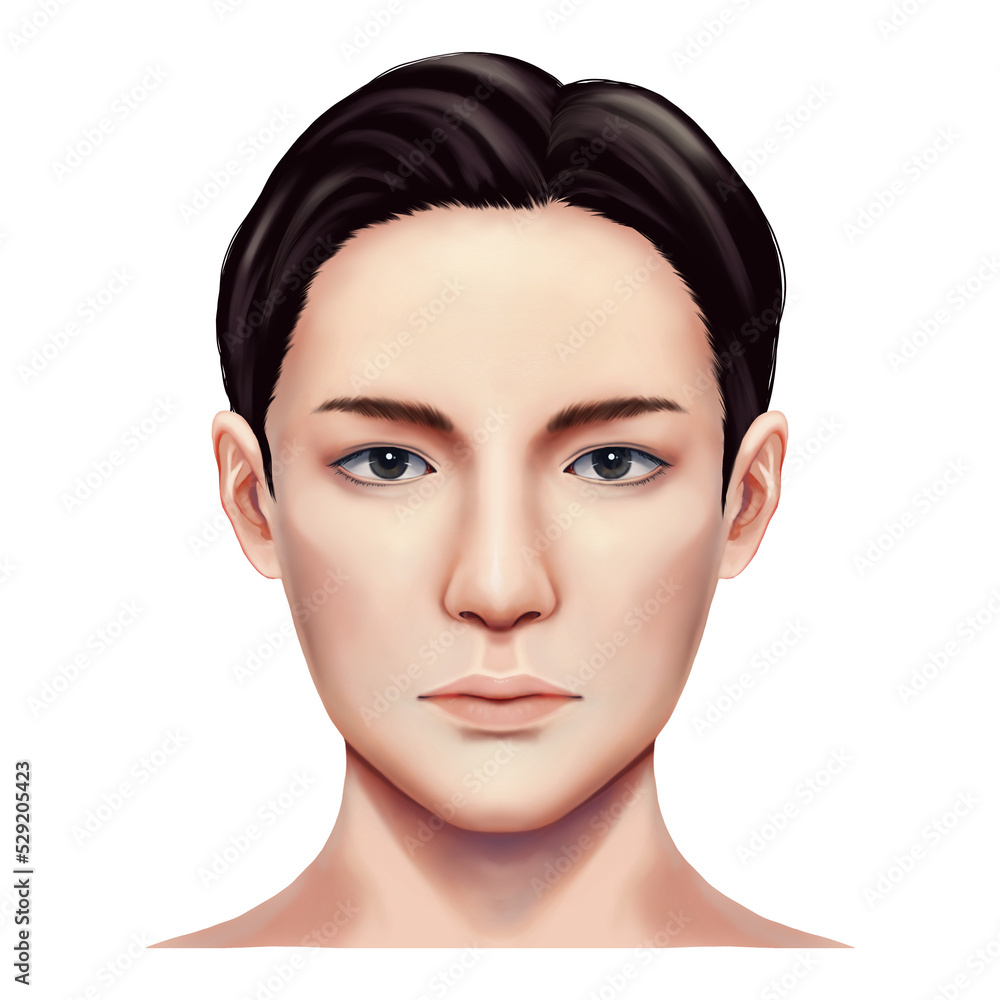 リアルな男性の正面顔イラスト ラスター素材 Stock Illustration | Adobe Stock