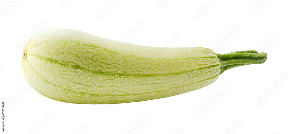 One large whole zucchini with short green stem without background ...