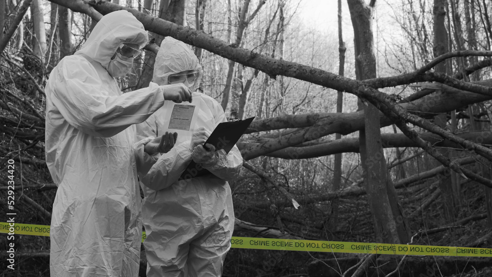 Detectives are collecting evidence in a crime scene. Forensic ...