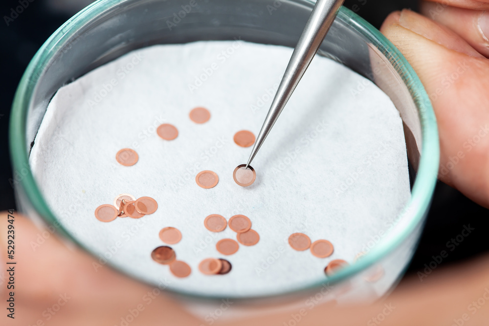 Photo & Art Print Petri dish with transmission electron microscopy ...