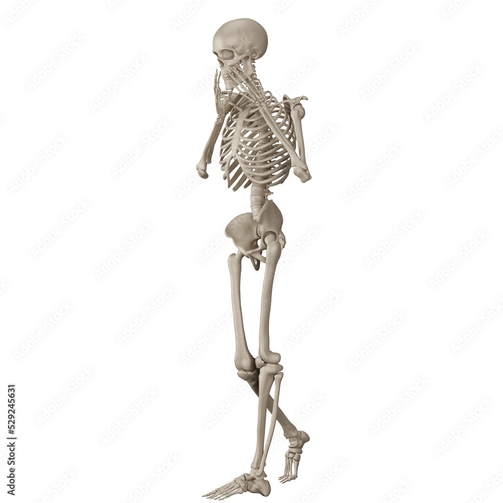 skeleton posing 3d render for 2d game asset Stock Illustration | Adobe ...