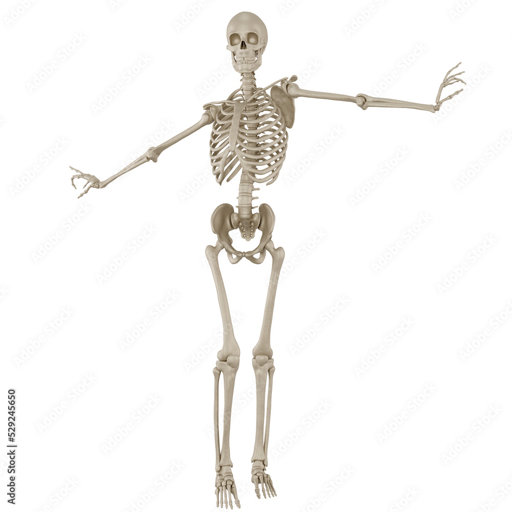 skeleton posing 3d render for 2d game asset Stock Illustration | Adobe ...