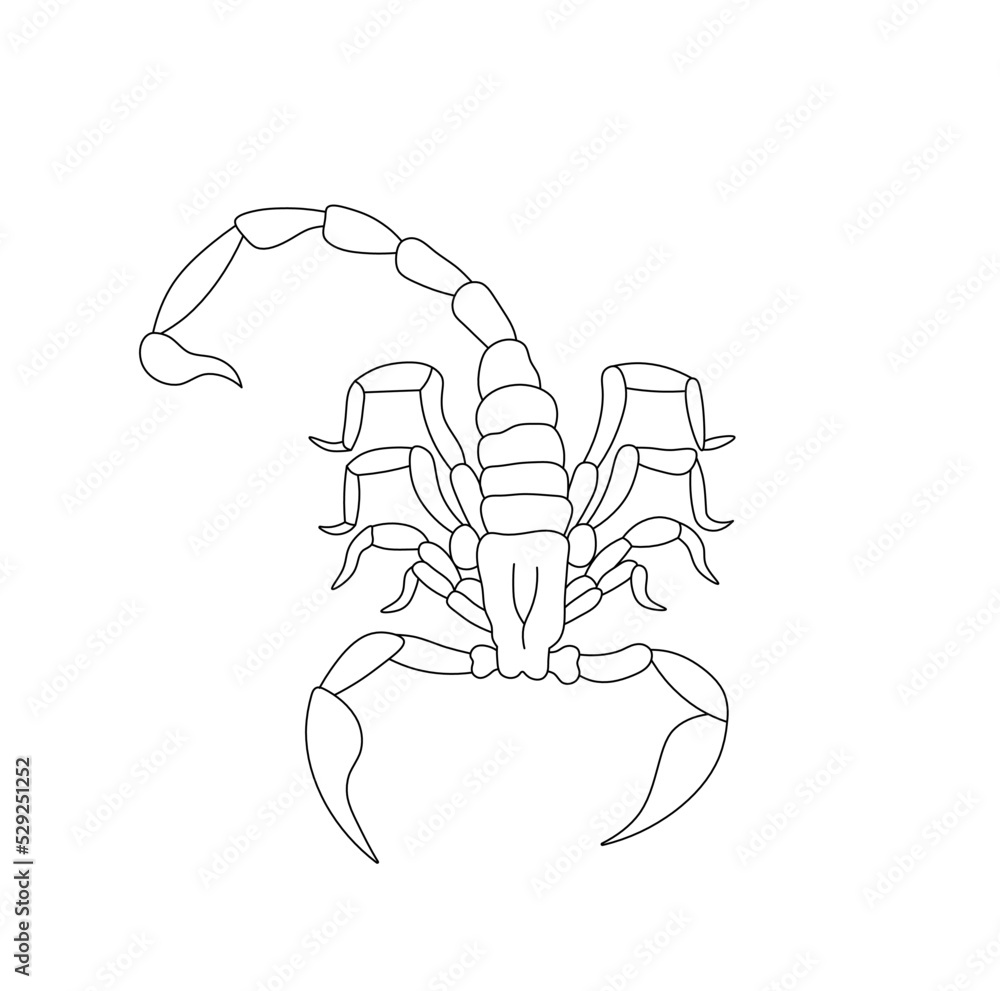 Vector isolated one scorpion with claws and sting colorless black and ...