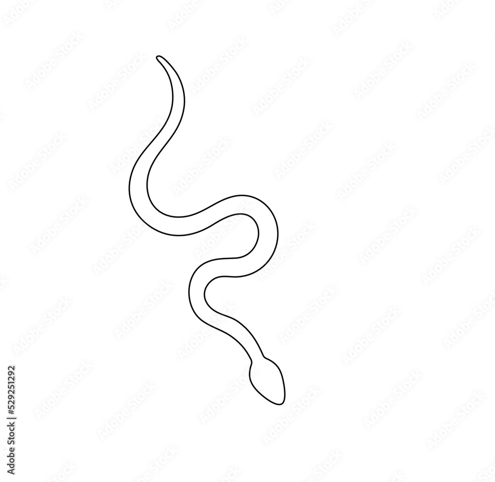Vector isolated one crawling snake top view colorless black and white ...