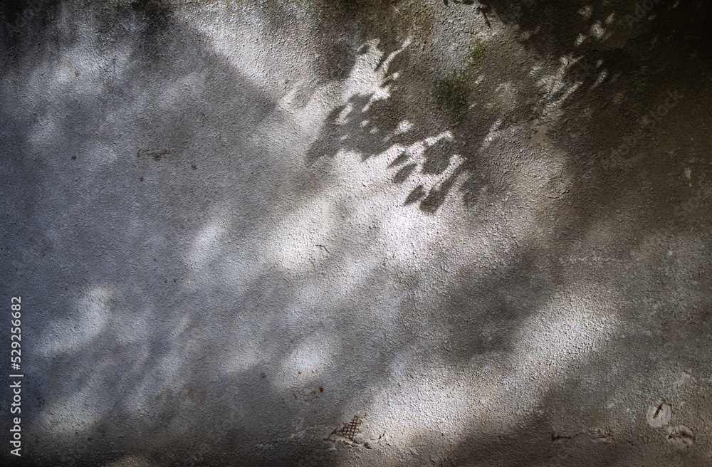 Abstract leaves gray shadow background with light bokeh, natural leaves ...