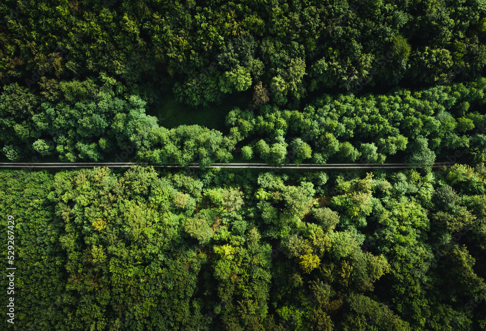 Horizontal aerial photo by drone (top view) of amazing green forest ...