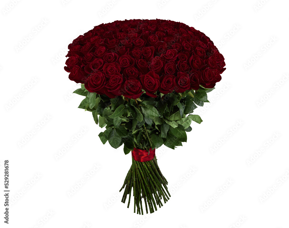 Red rose. large bouquet of 101 red rose on a transparent background in ...