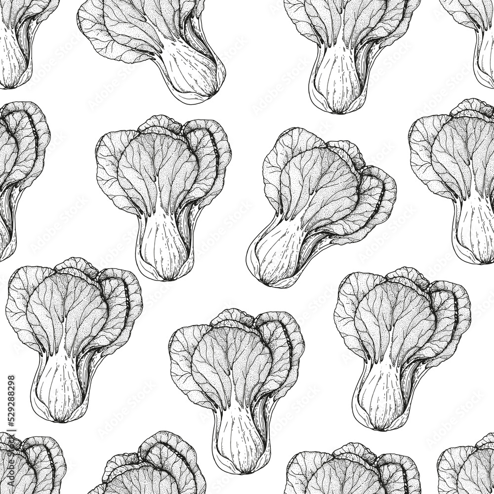 Vecteur Stock Bok choy seamless pattern. Hand drawn background. Vector ...