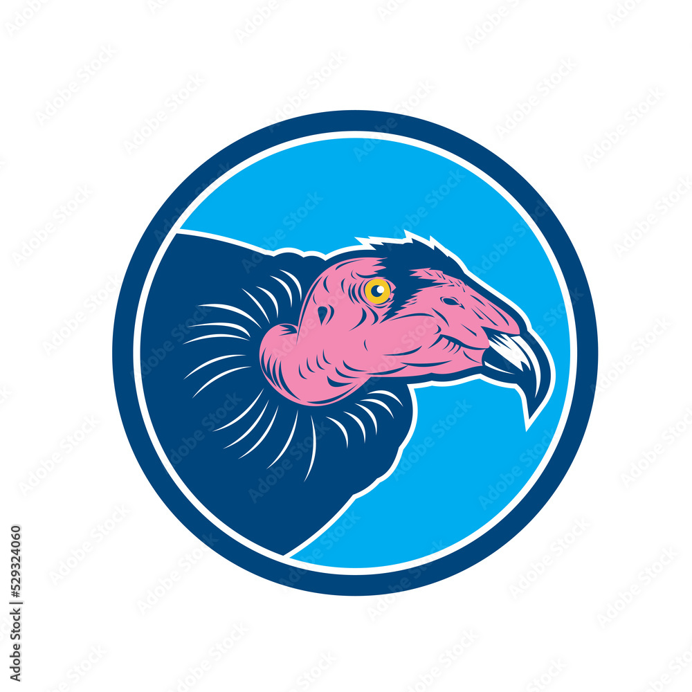 Illustration of a Vulture California Condor head viewed from side set ...