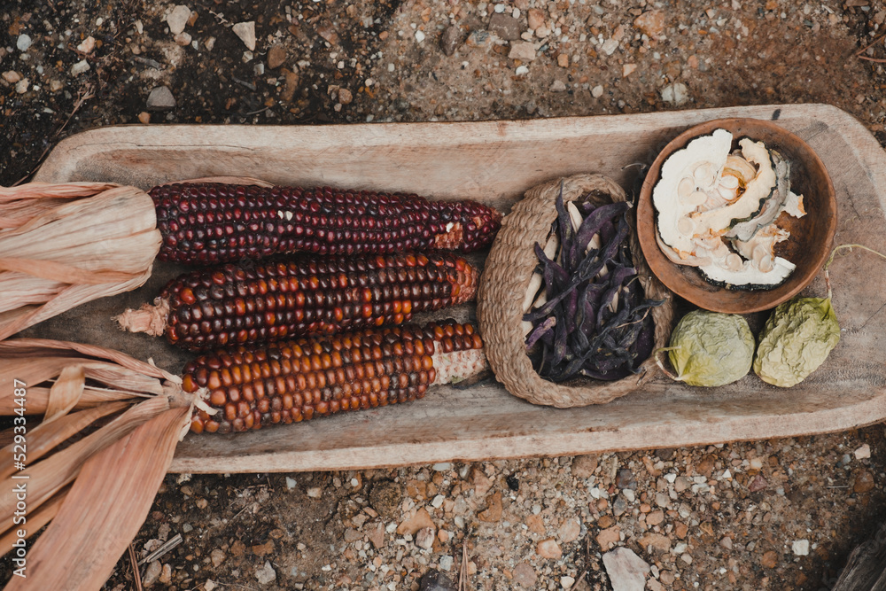 Poster wooden tray with typical native American (Powhatan) food and ...