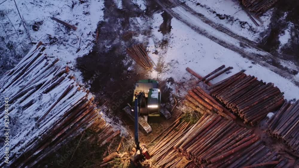 Drone watches from above in dramatic composition as industrial timber ...