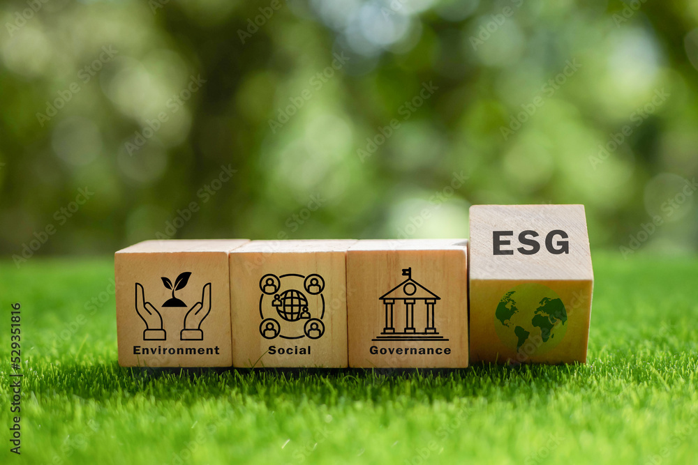 ESG concept of environmental, social and governance. Sustainable and ...