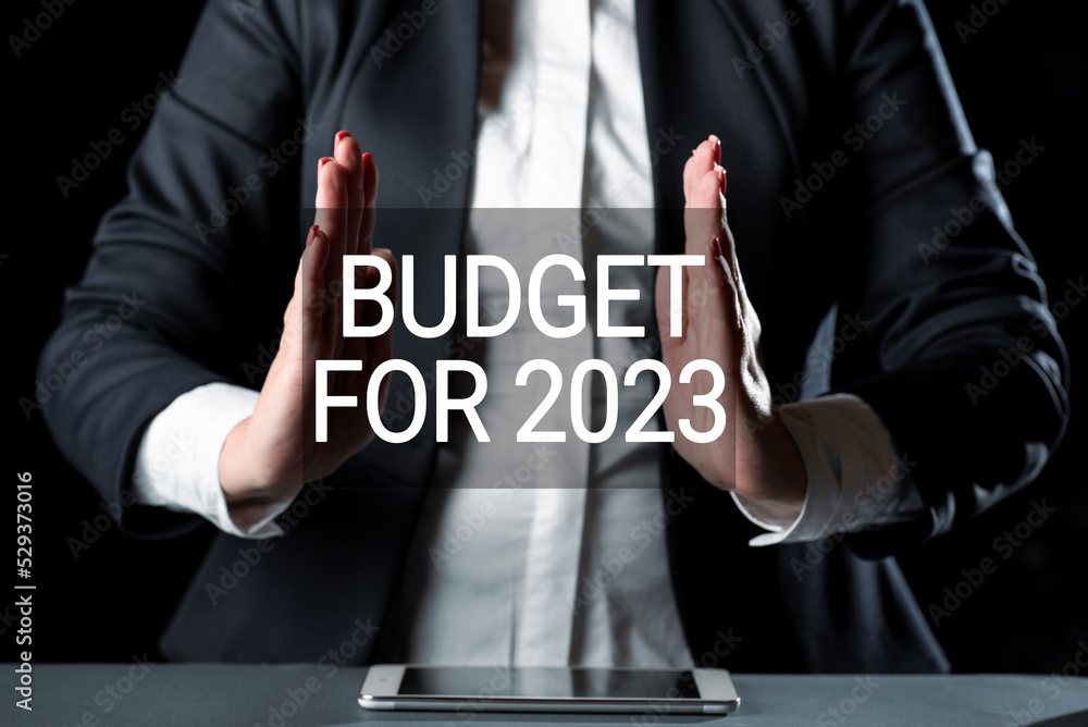 Handwriting text Budget For 2023An written estimates of income and ...