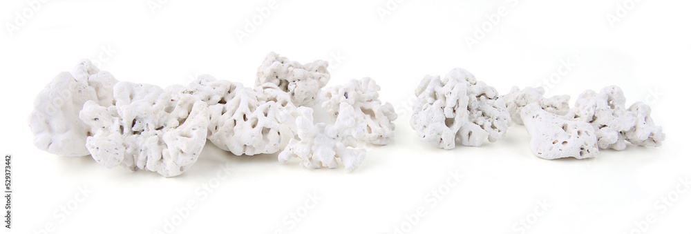 Natural white pebbles from beach of Sommaroy island, Norway. Amazing ...