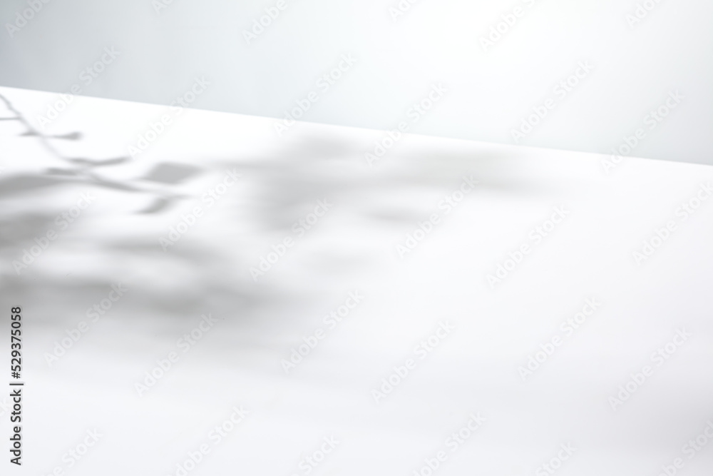 Light background with harsh shadows of tree branch. Aesthetic white ...