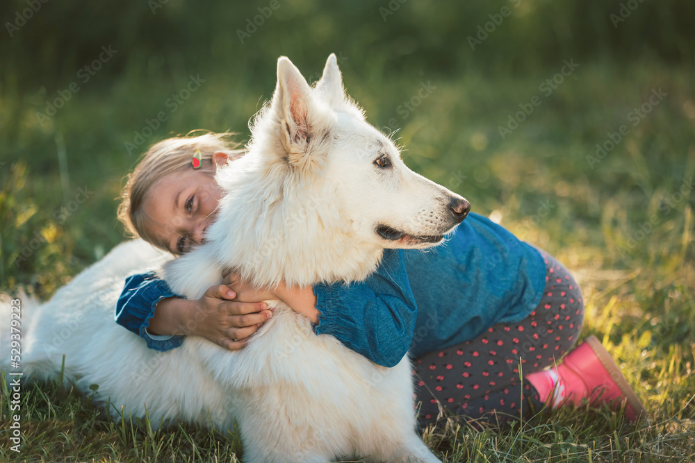 High Angle Shot Animals