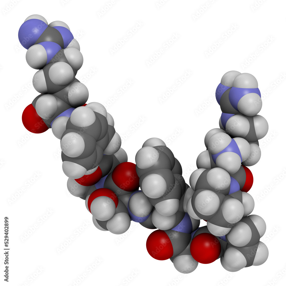 Bradykinin peptide molecule. 3D rendering. Atoms are represented as ...