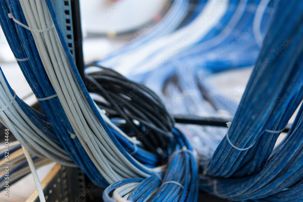 A large group of UTP cables, rack ethernet cables, patch panel UTP ...