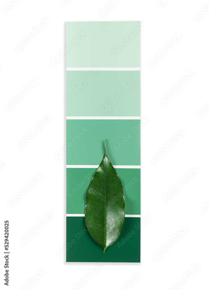 Color samples palette design catalog on a transparent background Stock ...
