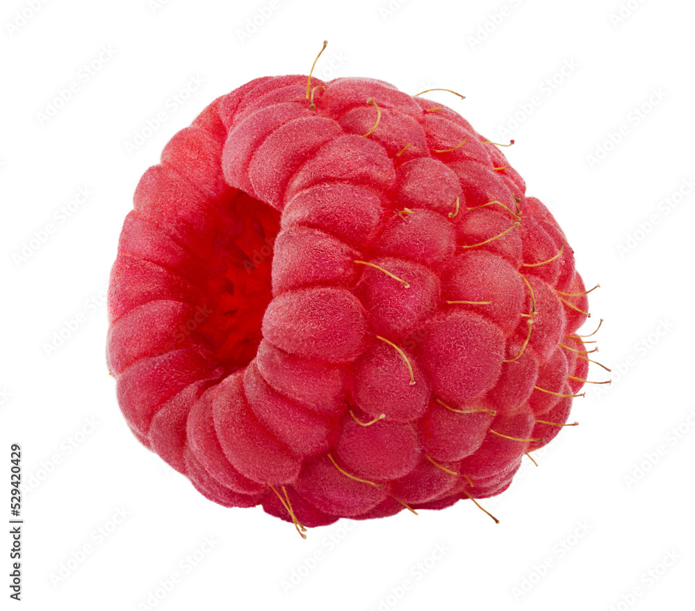Raspberry isolated PNG transparent background. Stock Photo | Adobe Stock