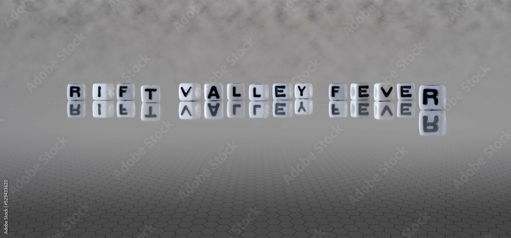 rift valley fever word or concept represented by black and white letter ...
