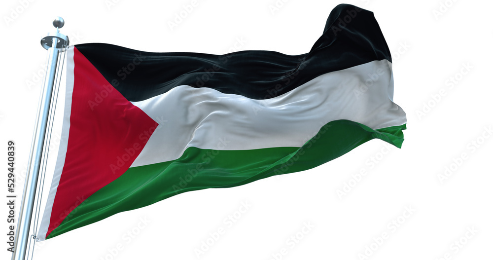 Palestine flag on transparent background 4k Stock Illustration | Adobe ...