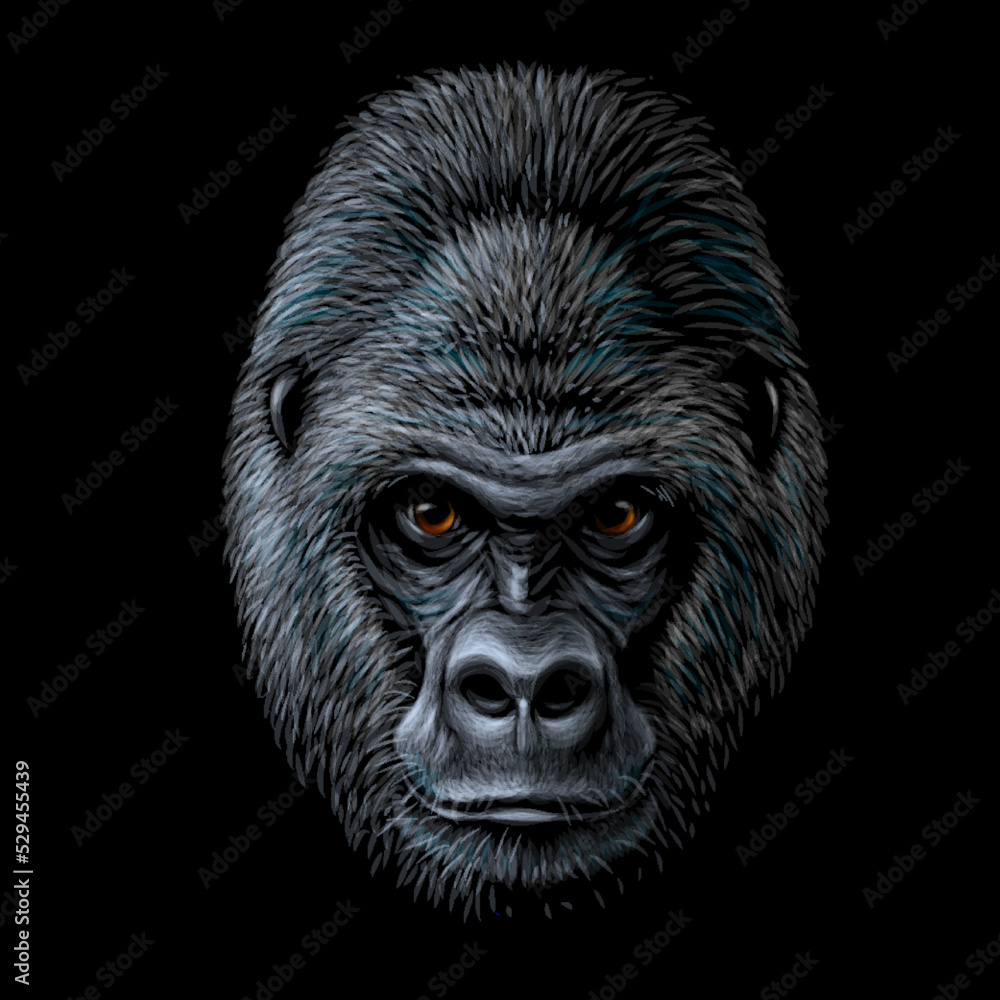 Silverback Gorilla Vector