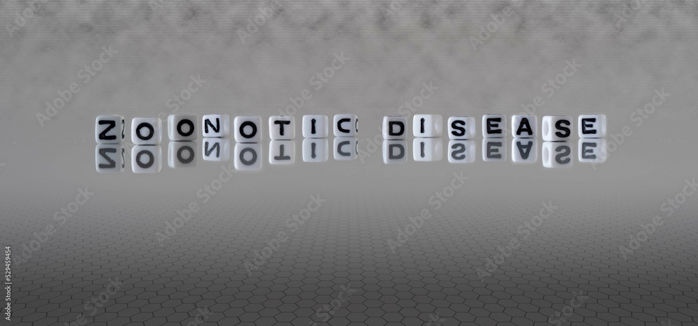 zoonotic disease word or concept represented by black and white letter ...