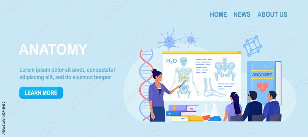 Anatomy school subject. Students studying internal human organ. Teacher ...