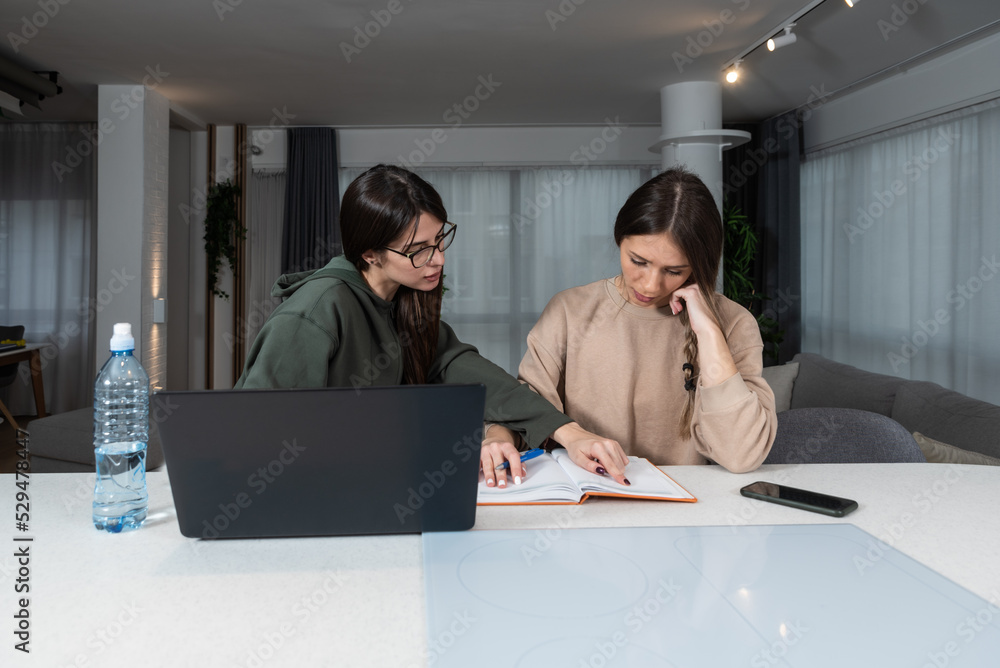 Two young college students study together helping each other with ...