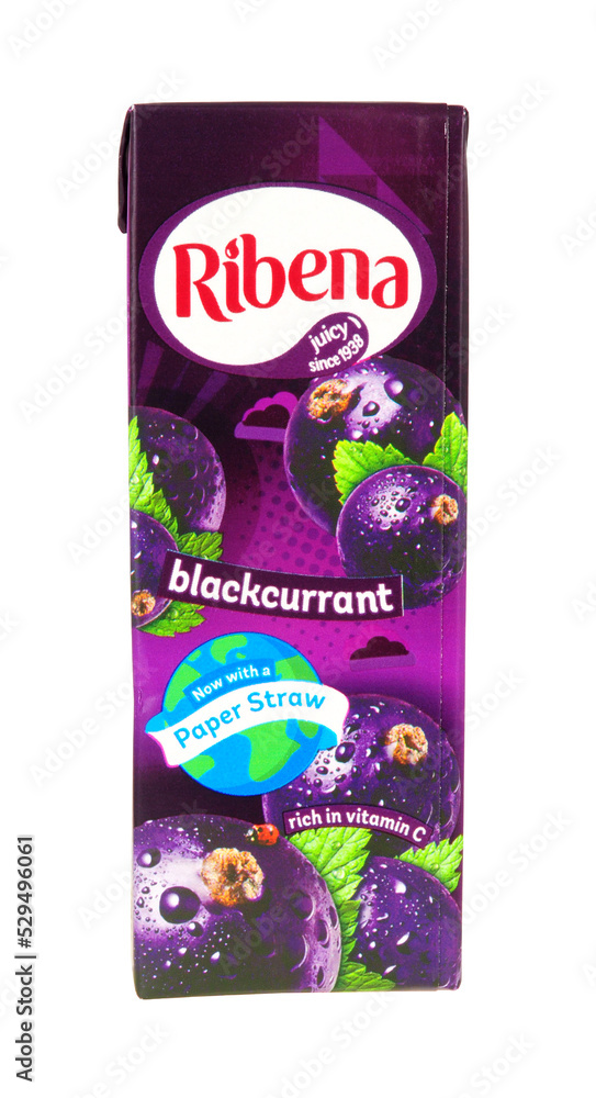 Ribena blackcurrant fruit flavoured uncarbonated soft drink in a 250ml ...