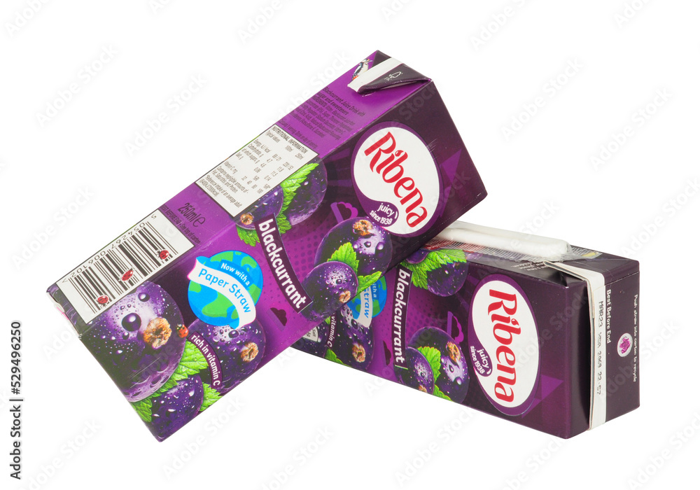 Ribena blackcurrant fruit flavoured uncarbonated soft drink in a 250ml ...