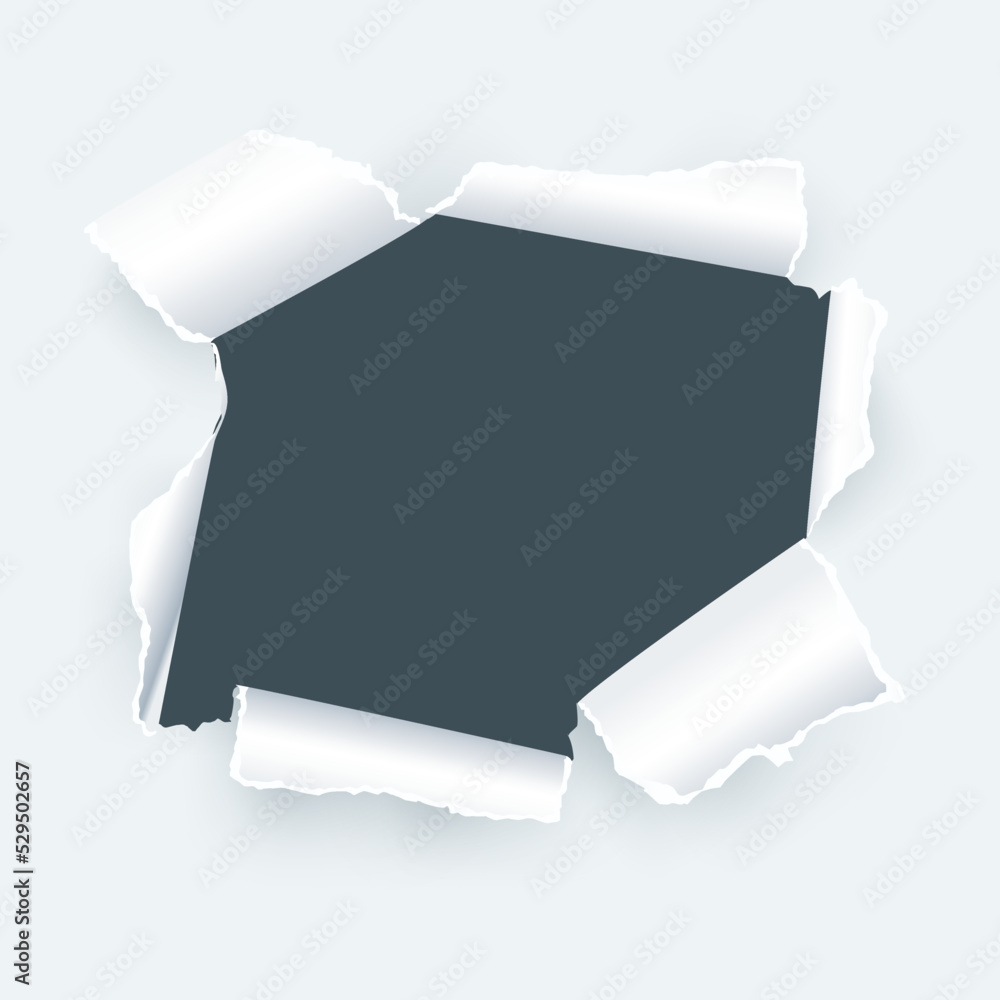 Realistic round torn paper isolated vector illustration. Holes in white ...