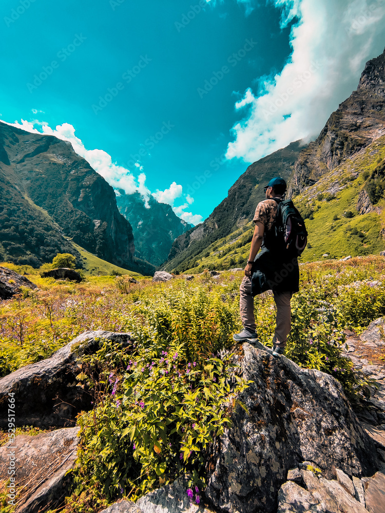 Valley of flowers trek chamoli uttarakhand Stock Photo | Adobe Stock