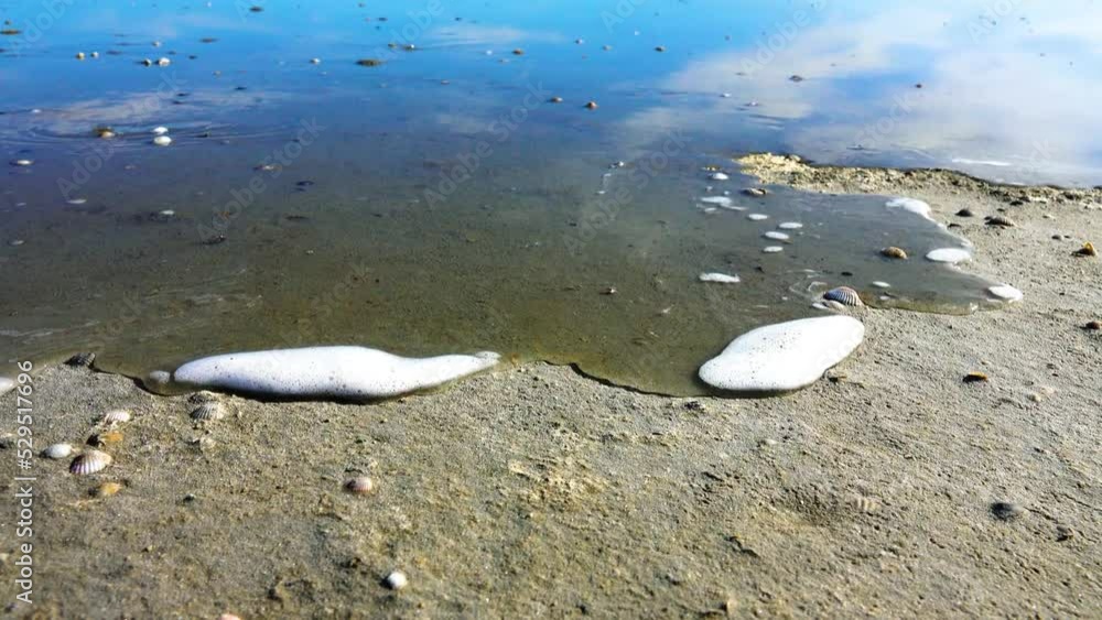 Wind-induced water level fluctuations in the salty shallow bays of the ...