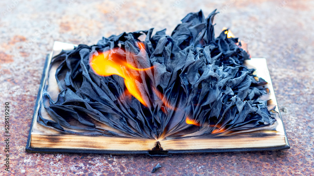 Charred pages of an open book, a book on fire Stock Photo | Adobe Stock