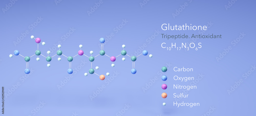 glutathione, Tripeptide, molecular structures, 3d model, Structural ...